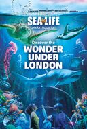 SEA LIFE London Aquarium • Information, Prices, and Reservations • Come ...