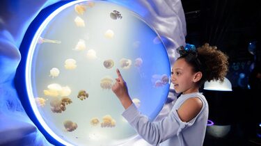 SEA LIFE London Aquarium • Information, Prices, and Reservations • Come ...