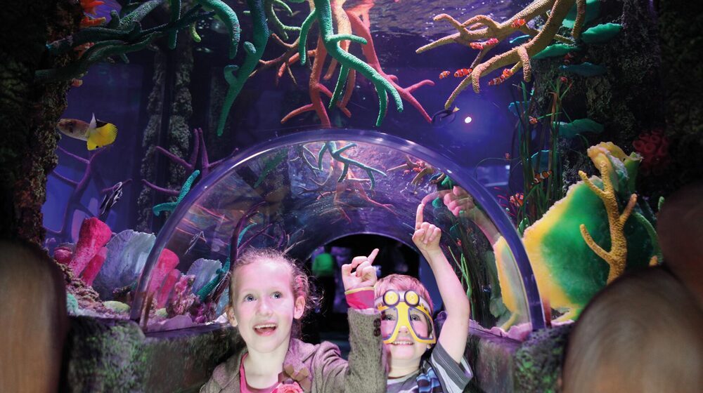 SEA LIFE London Aquarium • Information, Prices, and Reservations • Come ...