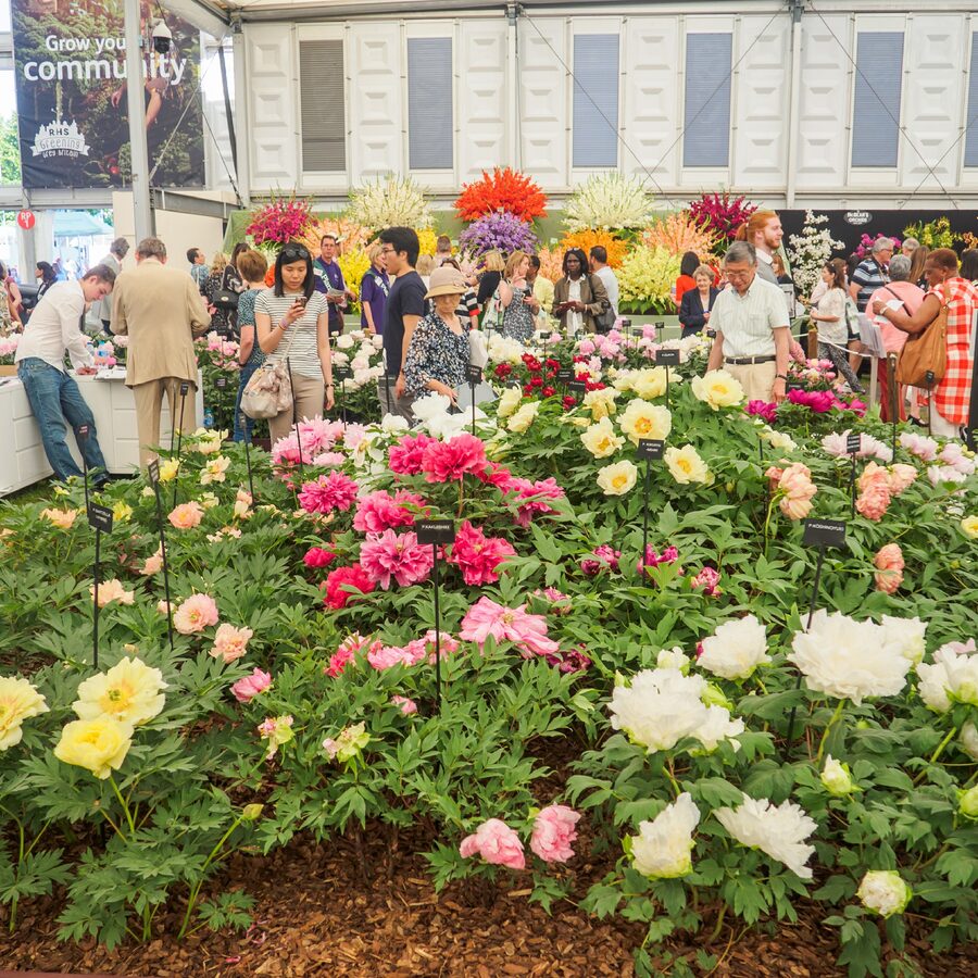 Chelsea Physic Garden : Paradis Botanique Caché • Come to London