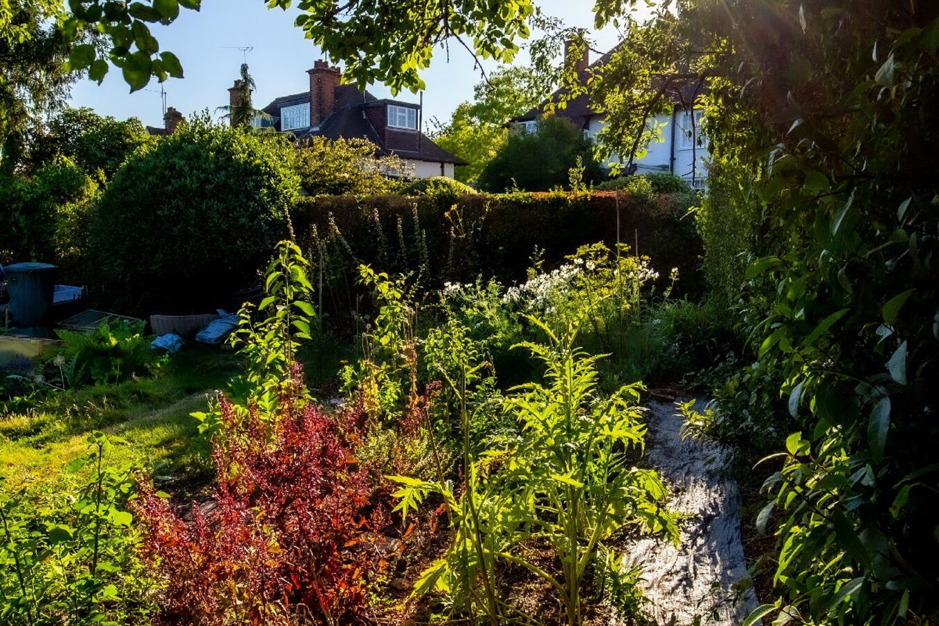 History and Significance of Dalston Eastern Curve Garden • Come to London