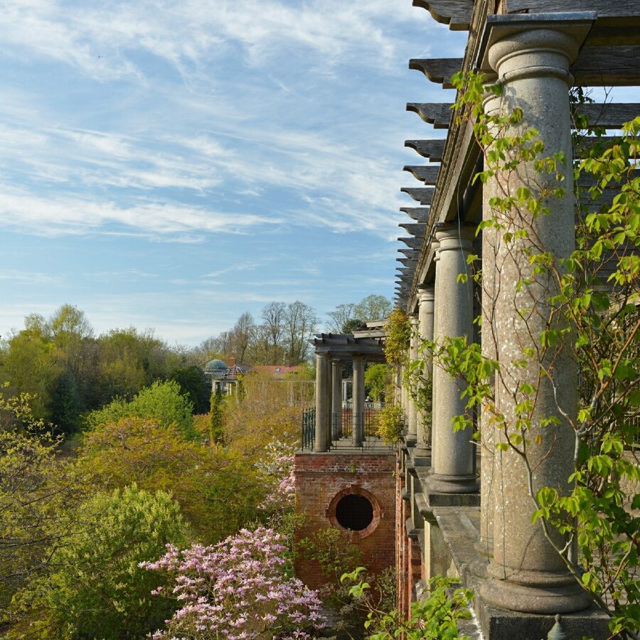 History and Nature of Hampstead Heath • Come to London