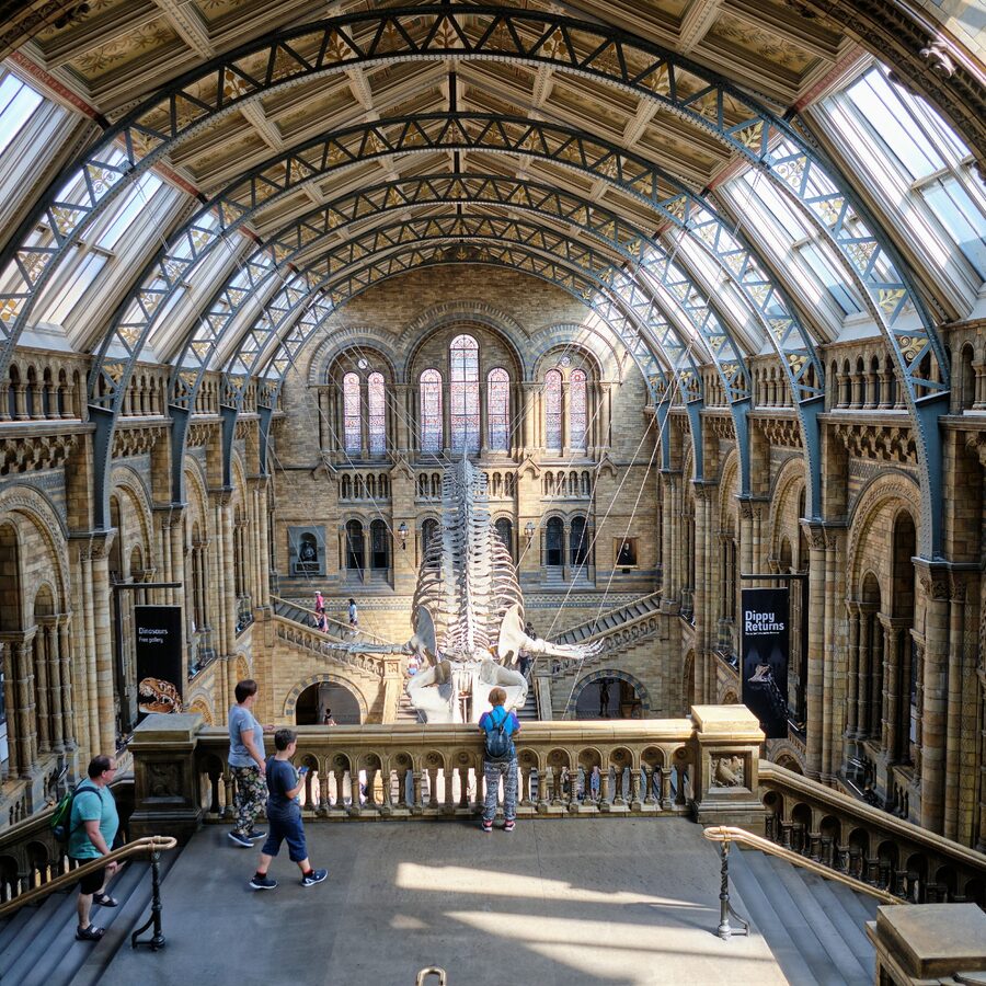London Geological Museum: Explore Earth's Treasures • Come to London