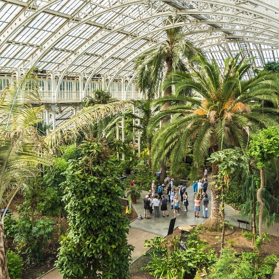 Kew Gardens en Toutes Saisons • Come to London