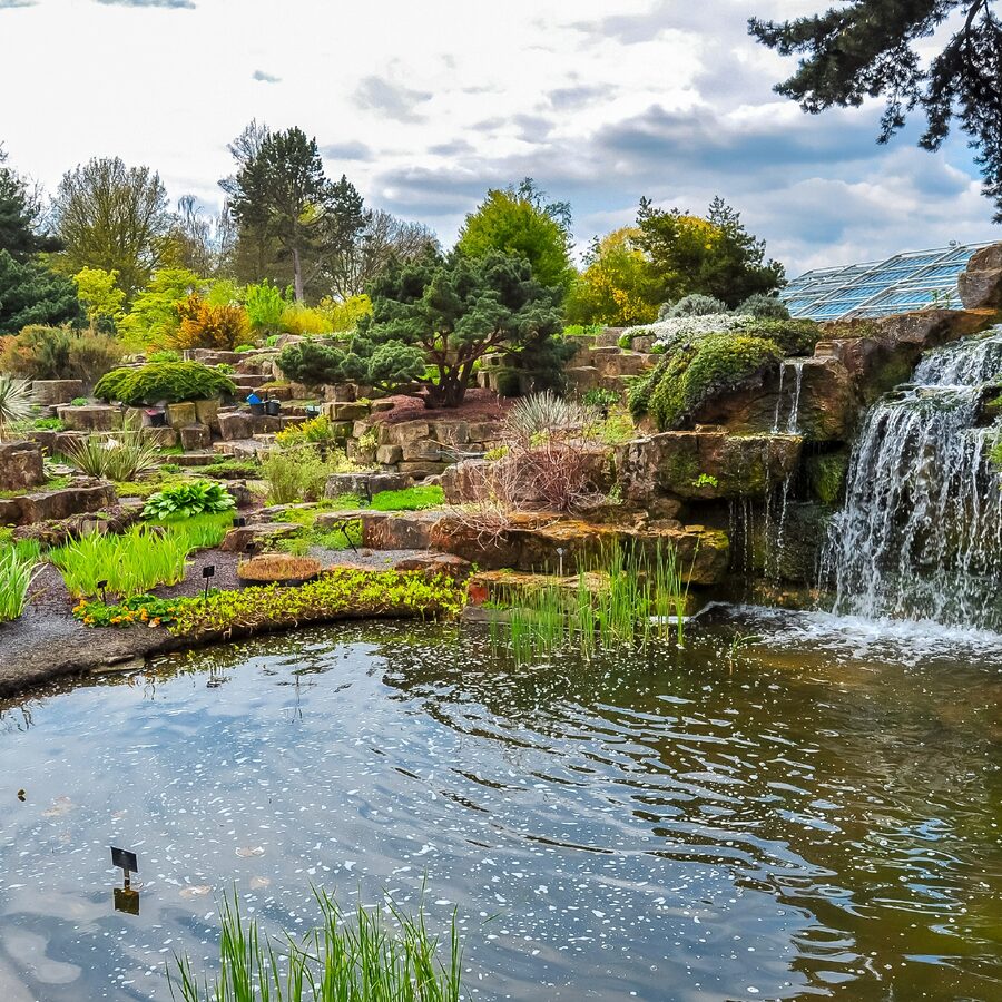 Conseils pour une Visite Mémorable à Kew Gardens • Come to London