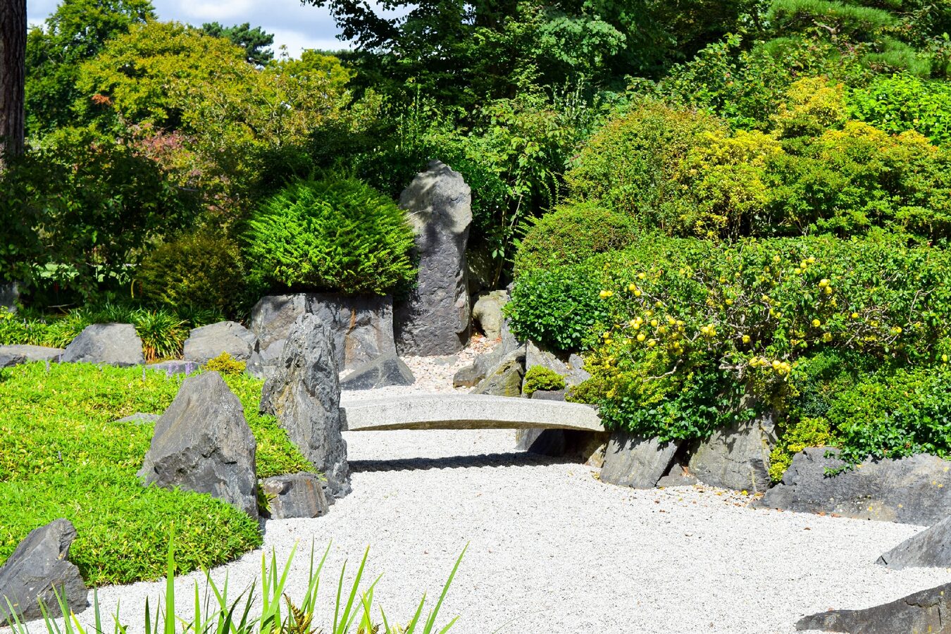 Where to Eat Near Kew Gardens • Come to London